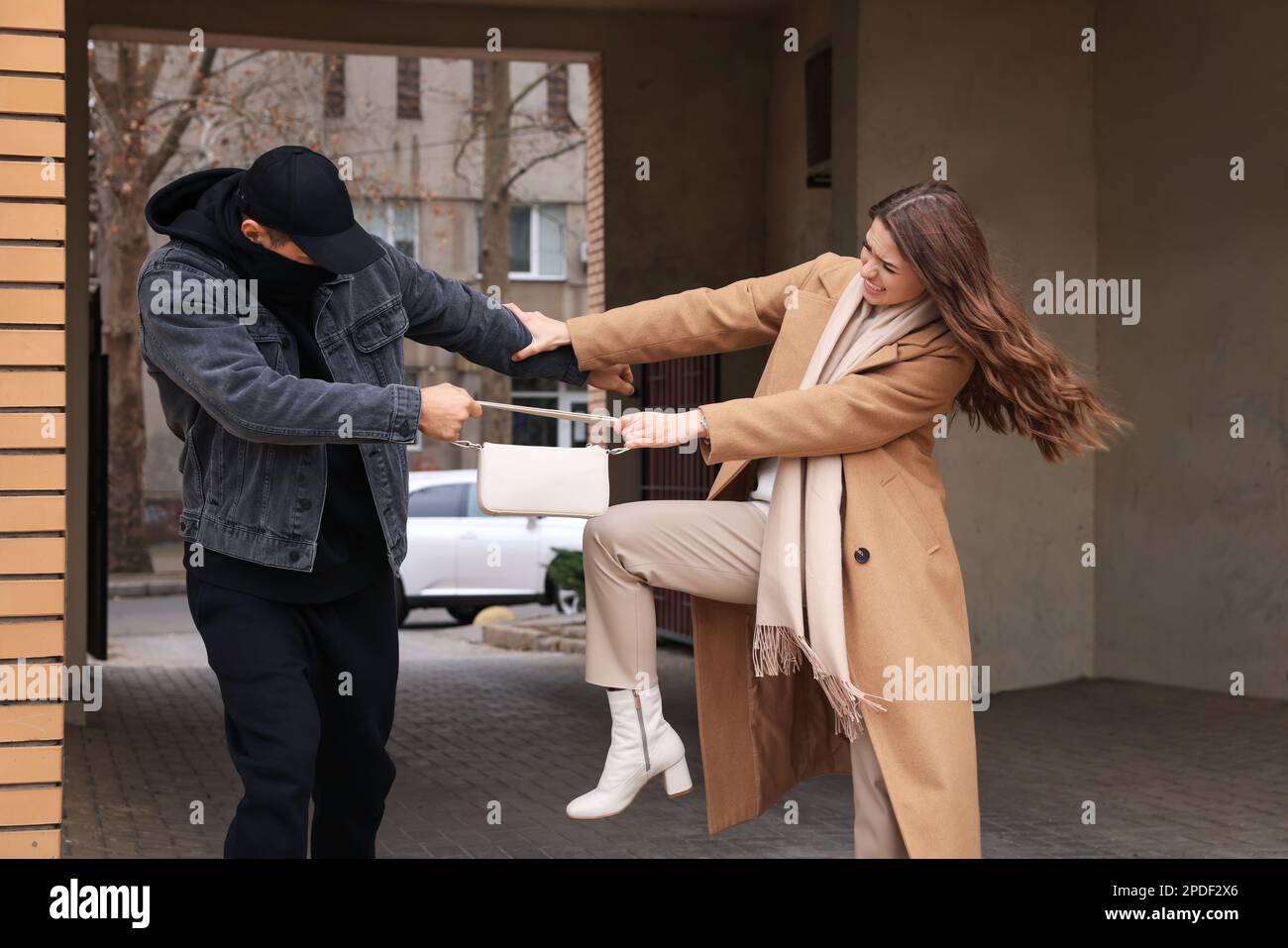 Woman Fighting With Thief While He Trying To Steal Her Bag In Alley