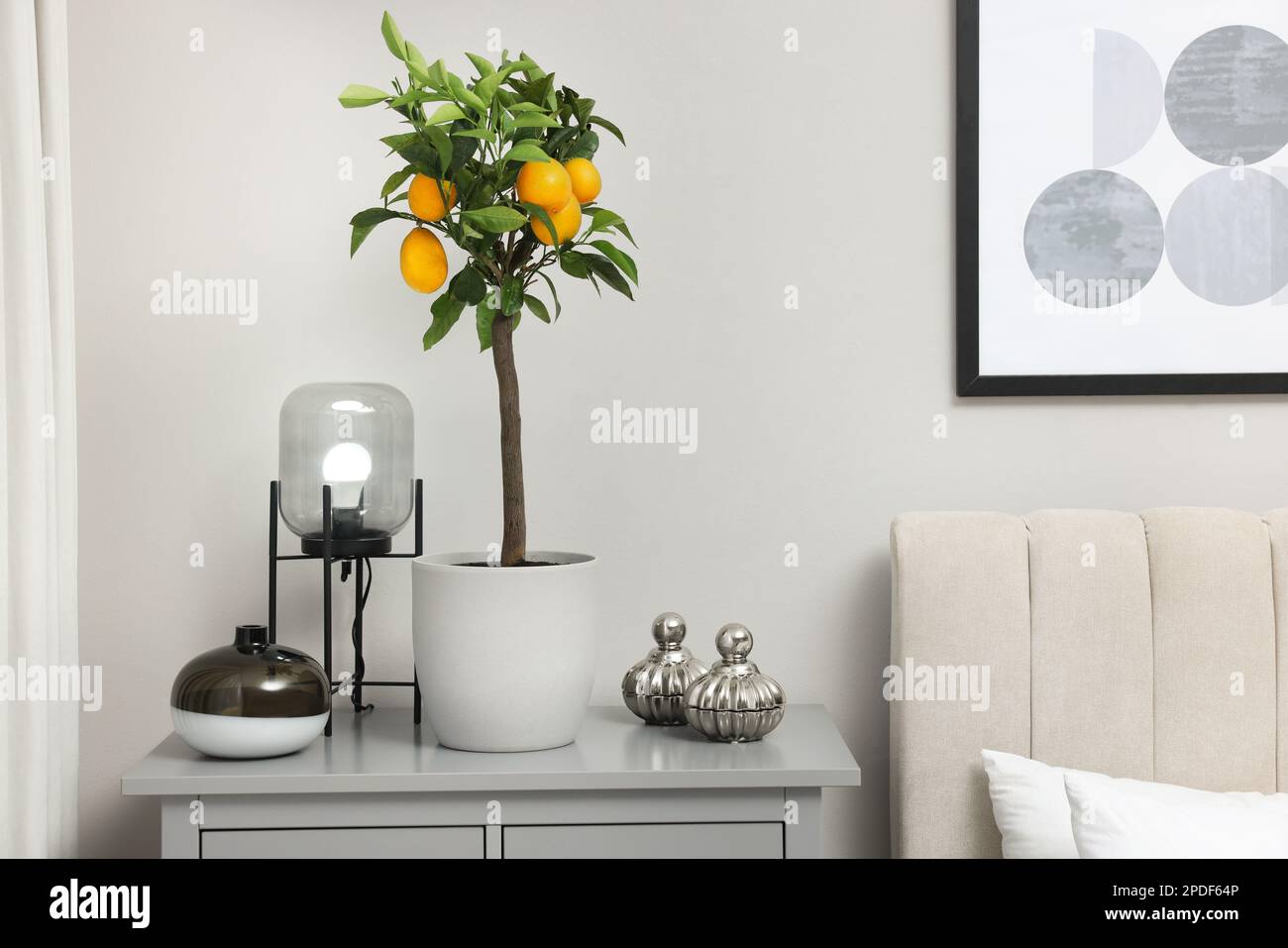 Potted lemon tree with ripe fruits on chest drawers in bedroom Stock ...