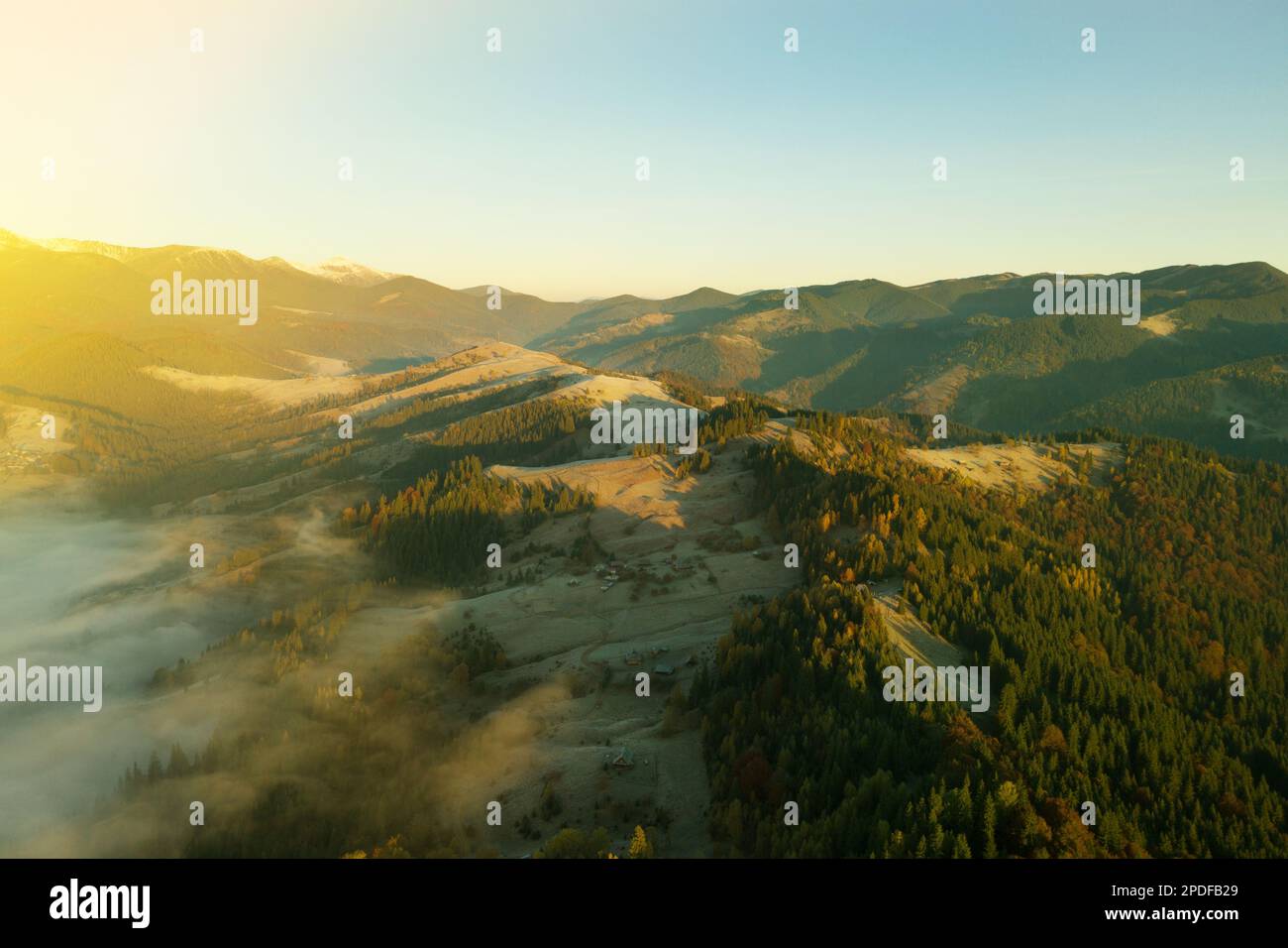 Beautiful landscape with forest in mountains on sunny day. Drone ...