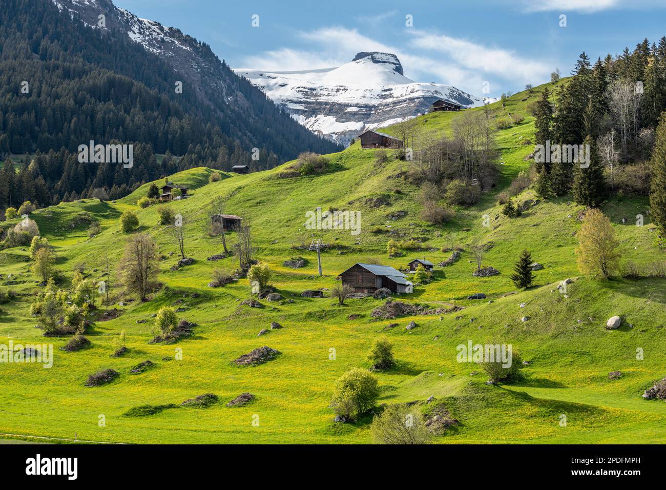 Summer scenery in Brigels with Mount da Rudi summit in the background ...