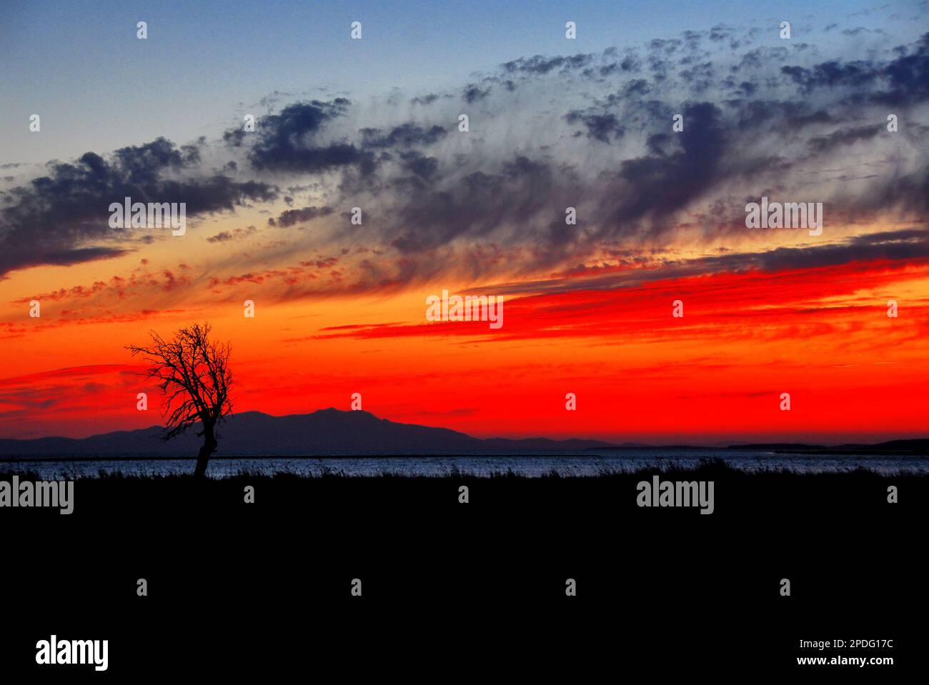 amazing sky sunset over the sea.with lonely tree on seaside Stock Photo ...