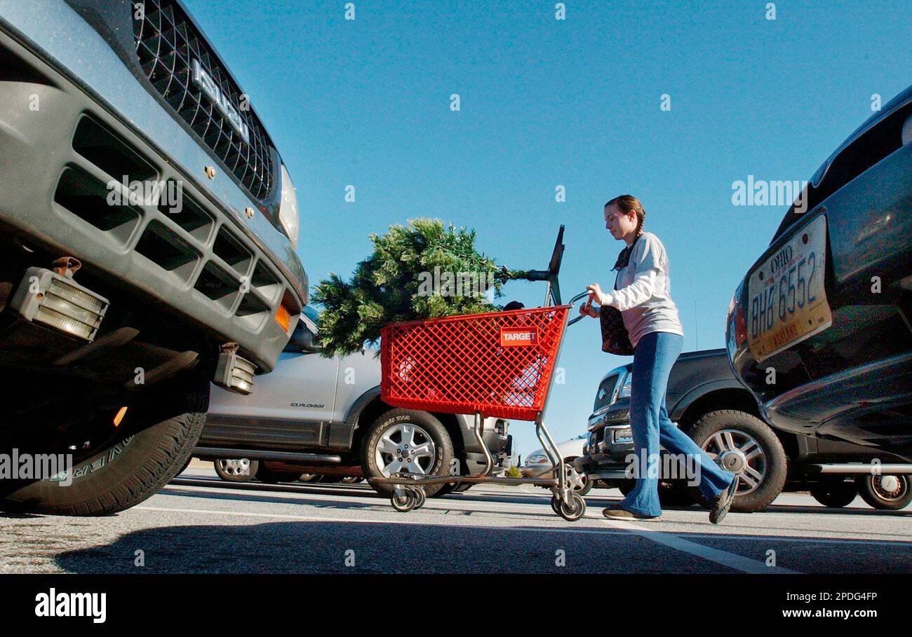 Joy Dunlap, 20, pushes a shopping cart with an artificial Christmas ...
