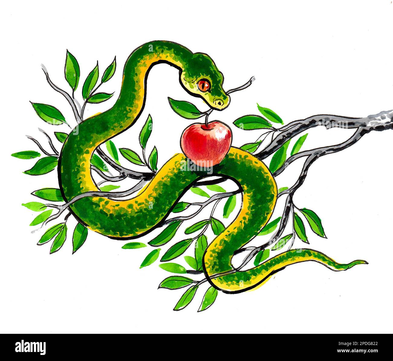 Green snake with red apple. Ink and watercolor drawing Stock Photo - Alamy