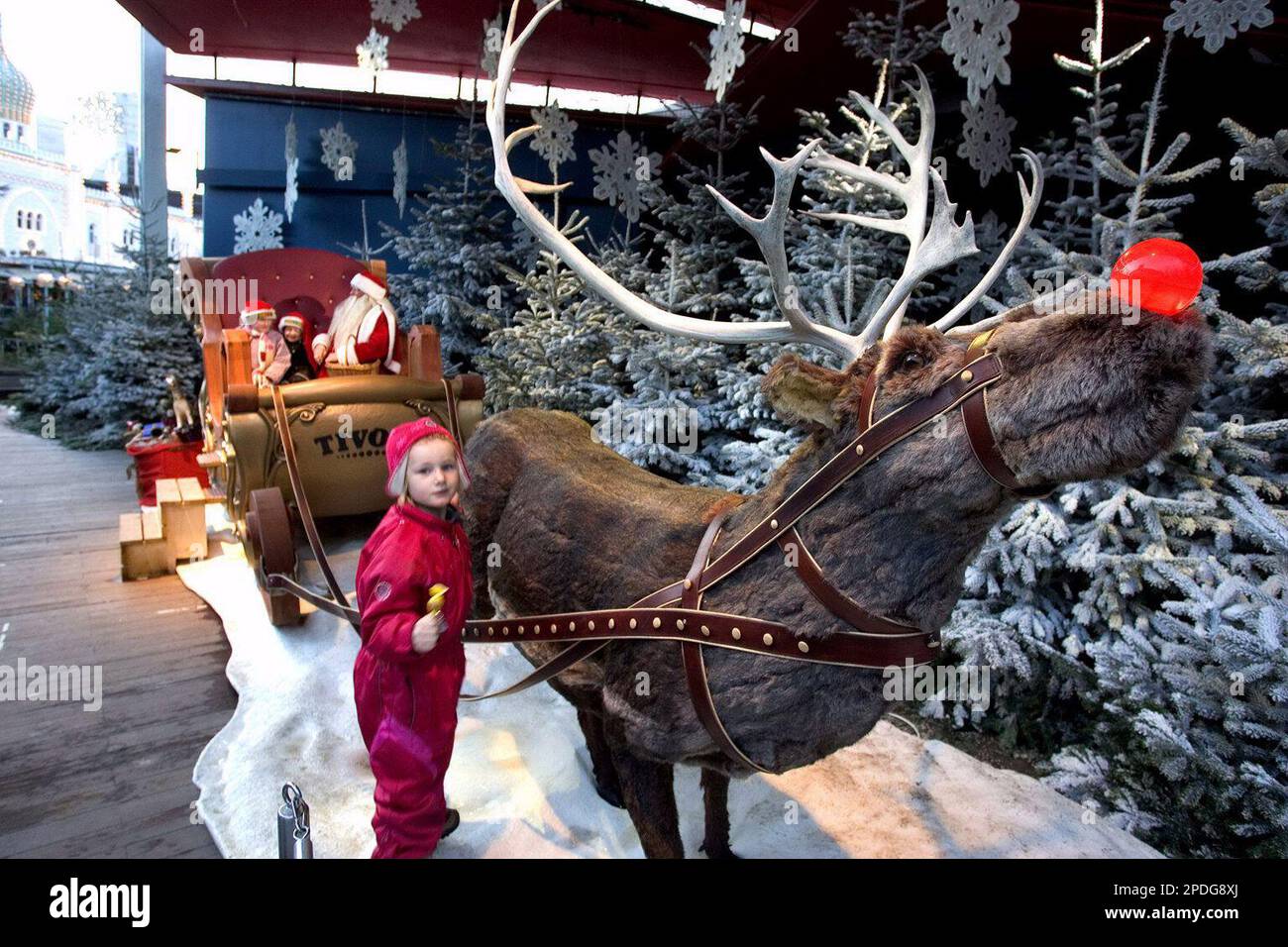 Six year old Stine makes the aquaintance of a Rudolph the Red Nosed ...