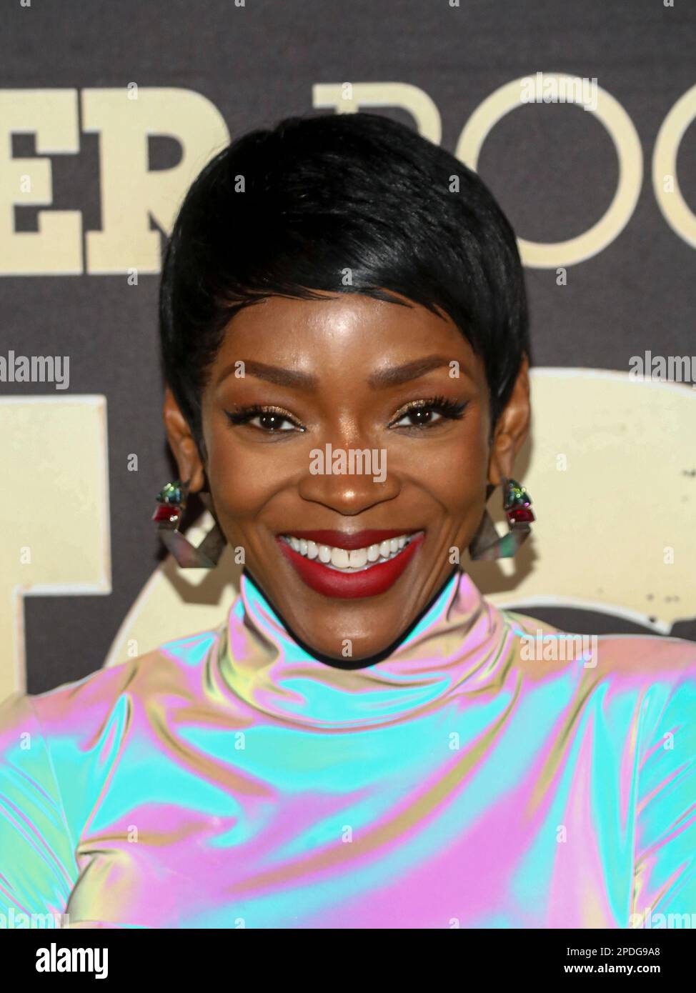 Actor Caroline Chikezie attends the STARZ television series "Power Book ...