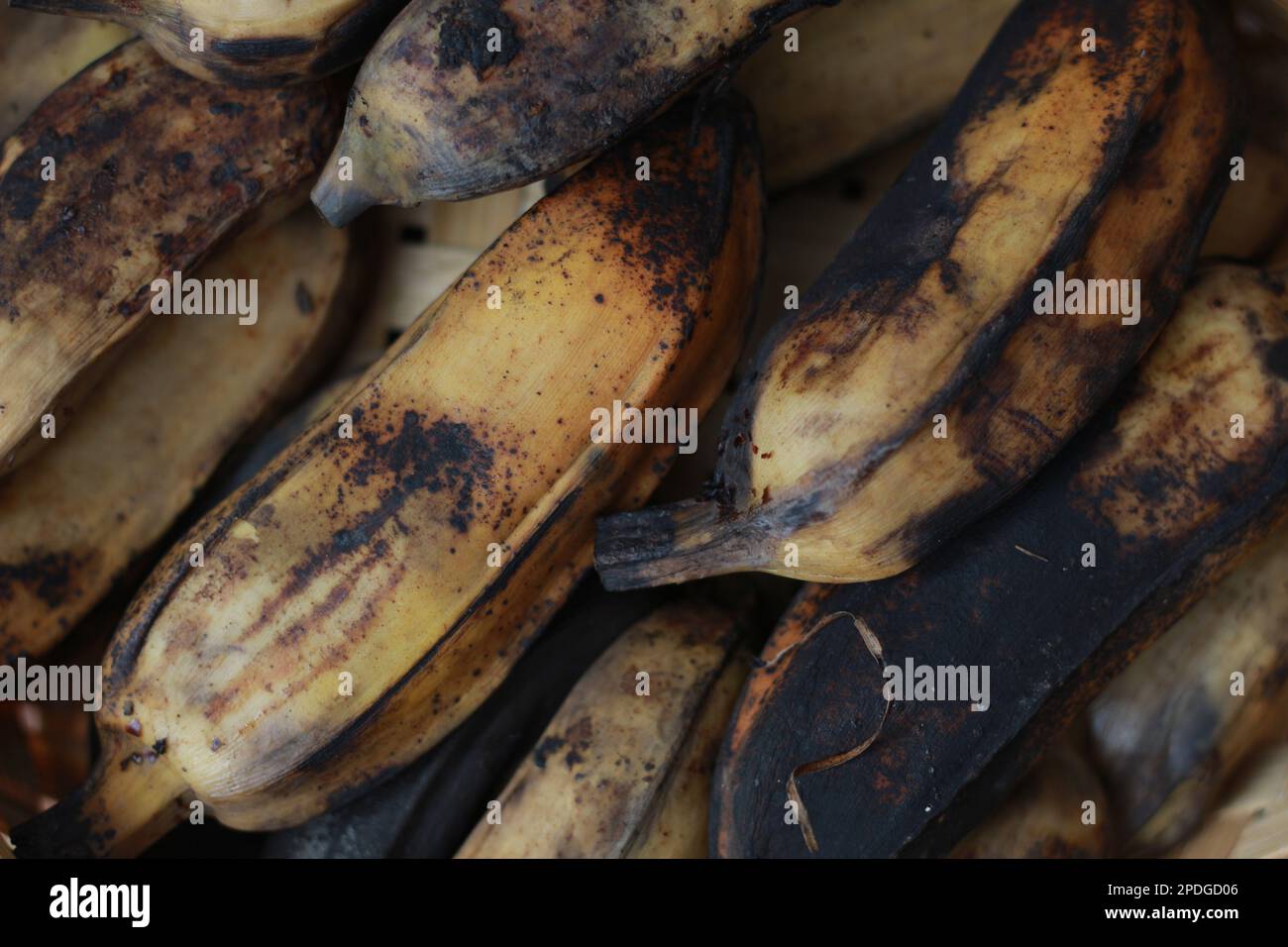 a close up of steamed bananas served on a woven bamboo container Stock ...