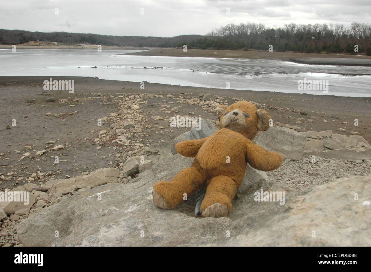 A discarded teddy bear lies on a rock in the bed of Douglas County ...