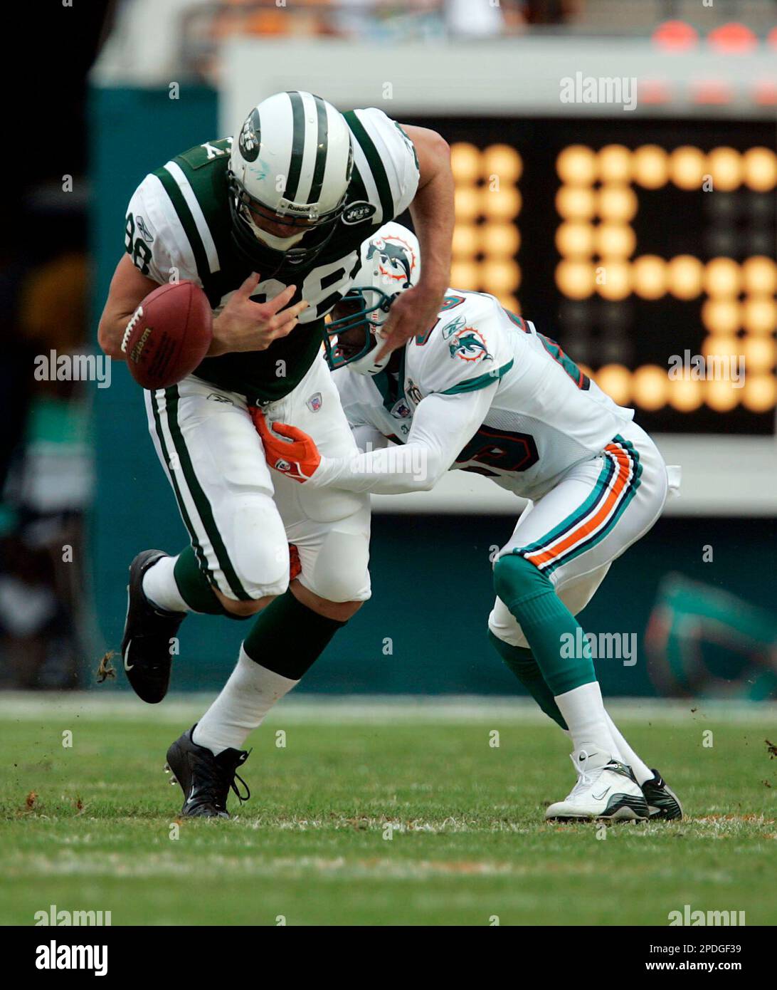 New York Jets Doug Jolley (88) fumbles the ball after being hit by ...