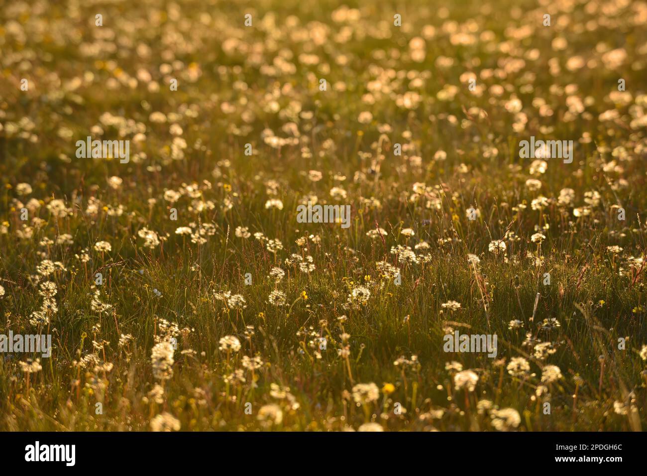 the mountains and waters around Tarim Lake are a unique and beautiful ...