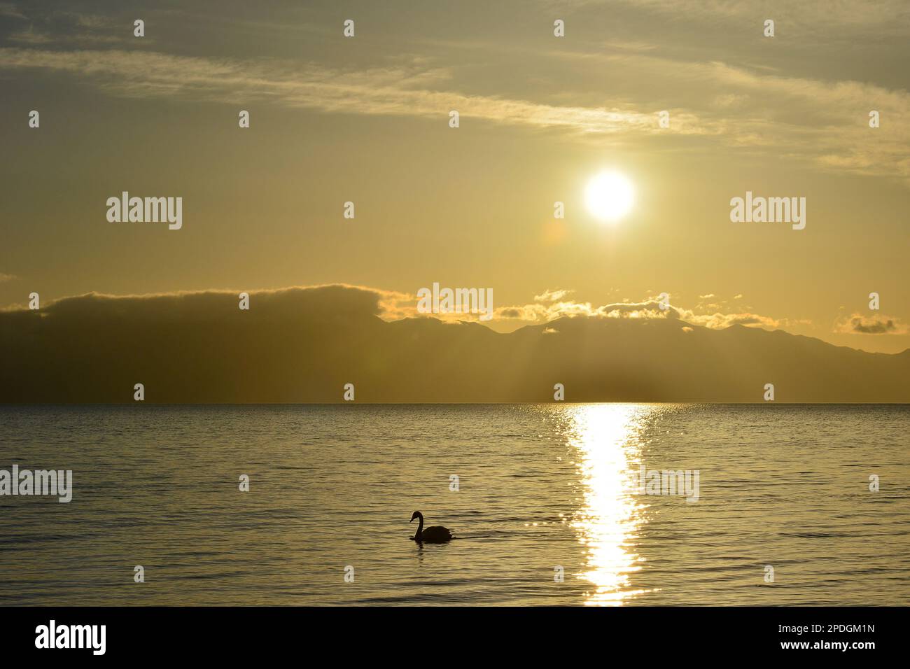 the mountains and waters around Tarim Lake are a unique and beautiful ...