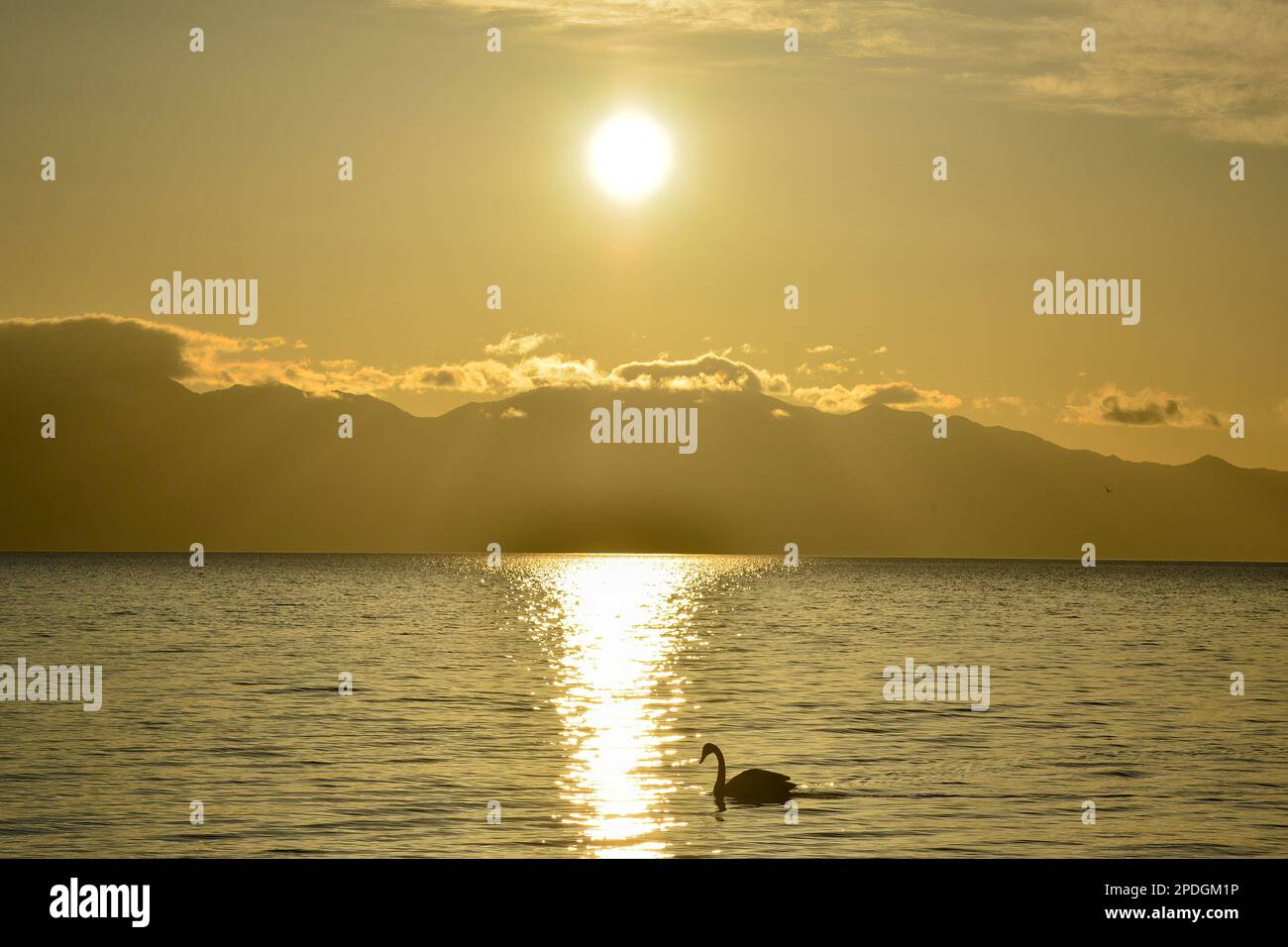 the mountains and waters around Tarim Lake are a unique and beautiful ...
