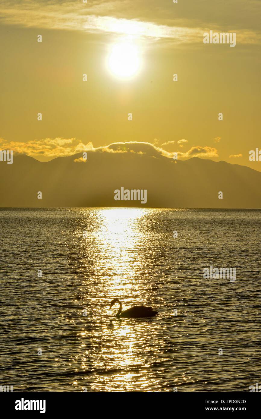 the mountains and waters around Tarim Lake are a unique and beautiful ...