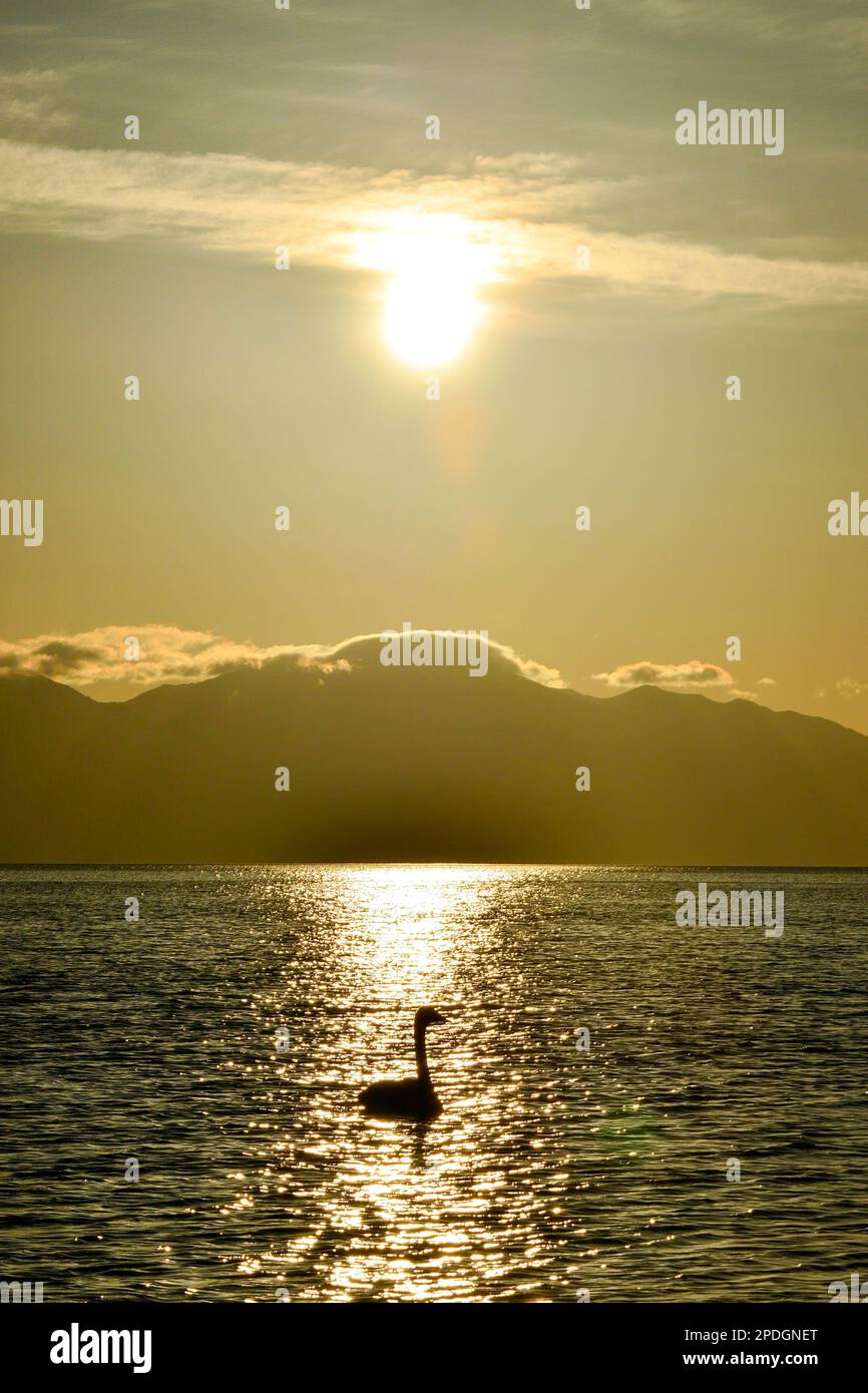 the mountains and waters around Tarim Lake are a unique and beautiful ...