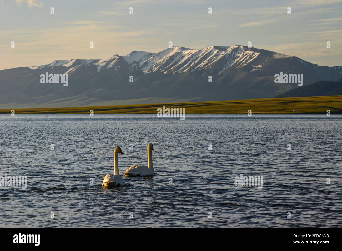 the mountains and waters around Tarim Lake are a unique and beautiful ...