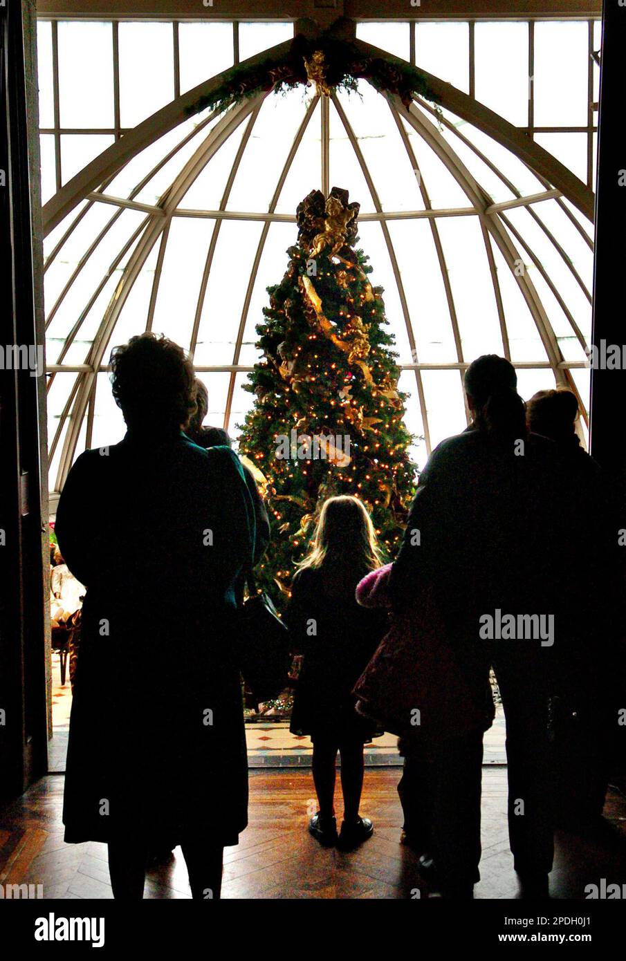 Anna Breault, center, 5, of Norwalk, Conn., looks at a Christmas tree ...