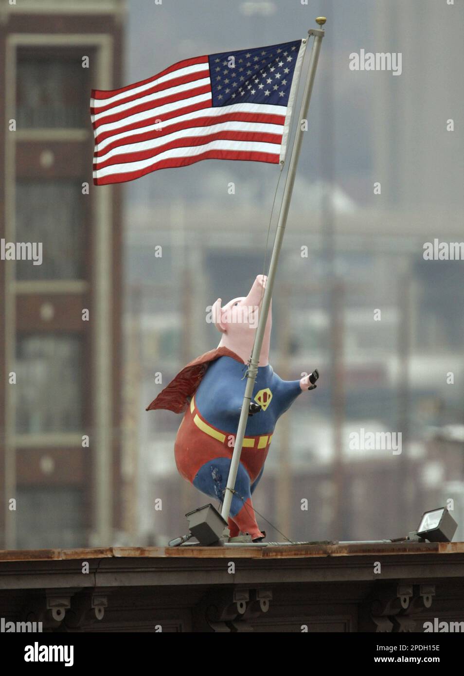 A fiberglass pig dressed in a super hero's costume holds a flag ...