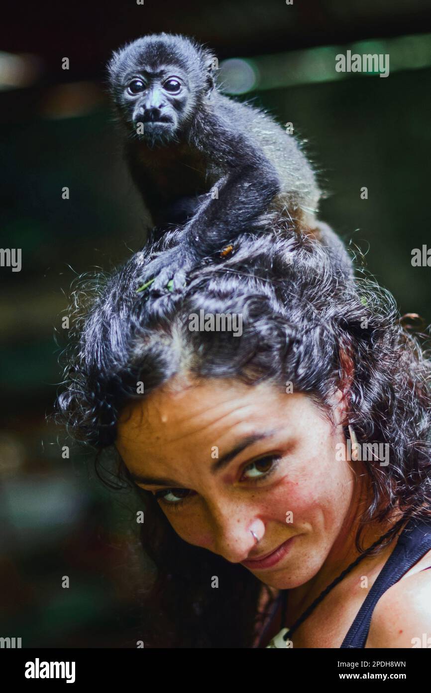 Howler monkey on a woman's head Stock Photo - Alamy