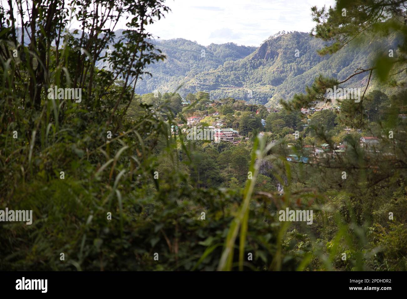 Imposing valley with houses in Sagada, Philippines, enclosed by forest ...