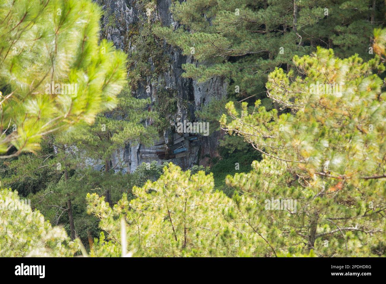 A frame of treetops in the foreground, in the background a rock wall ...