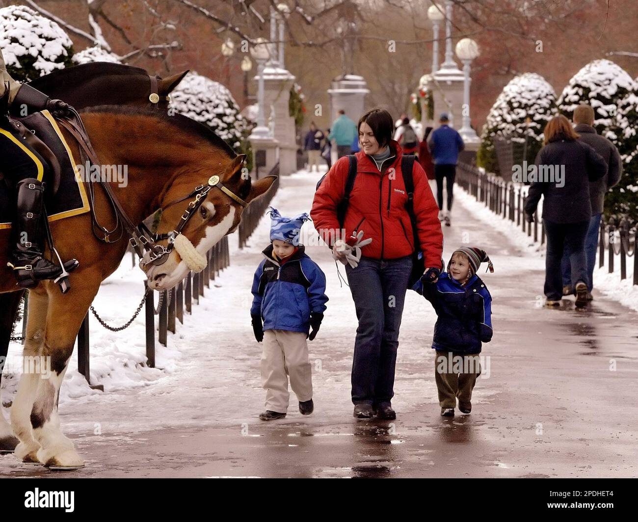 Owen, 2, right, holds the hand of his babysitter Clare Boland and ...