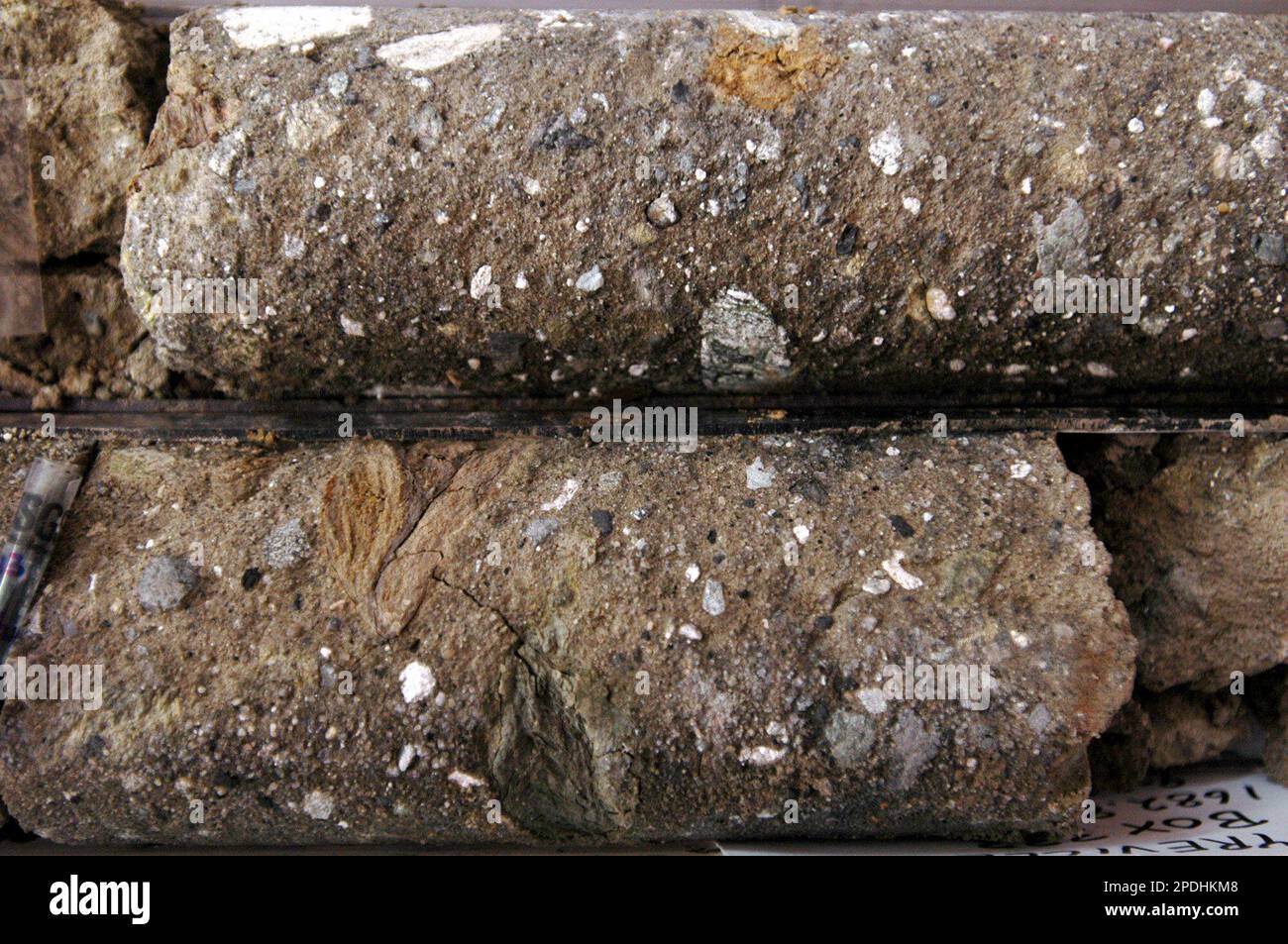 A piece of breccia excavated from the Chesapeake Asteroid Impact Crater ...