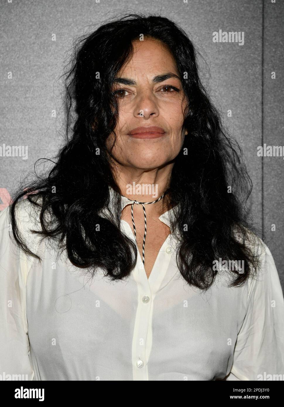 Sarita Choudhury attends a special screening of "Boston Strangler" at ...