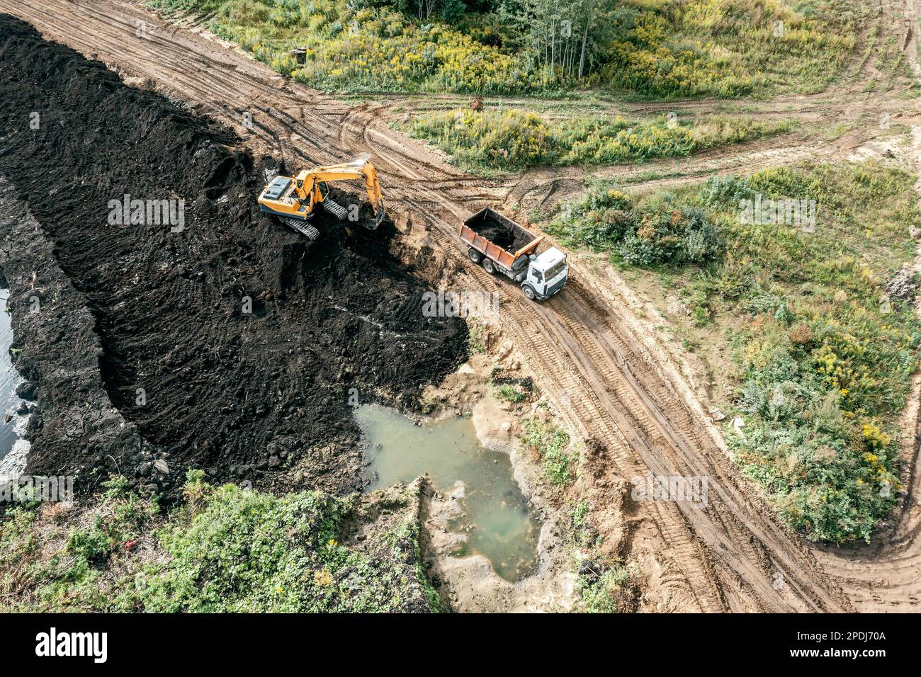 excavator loads soil into a truck on a land improvement construction ...