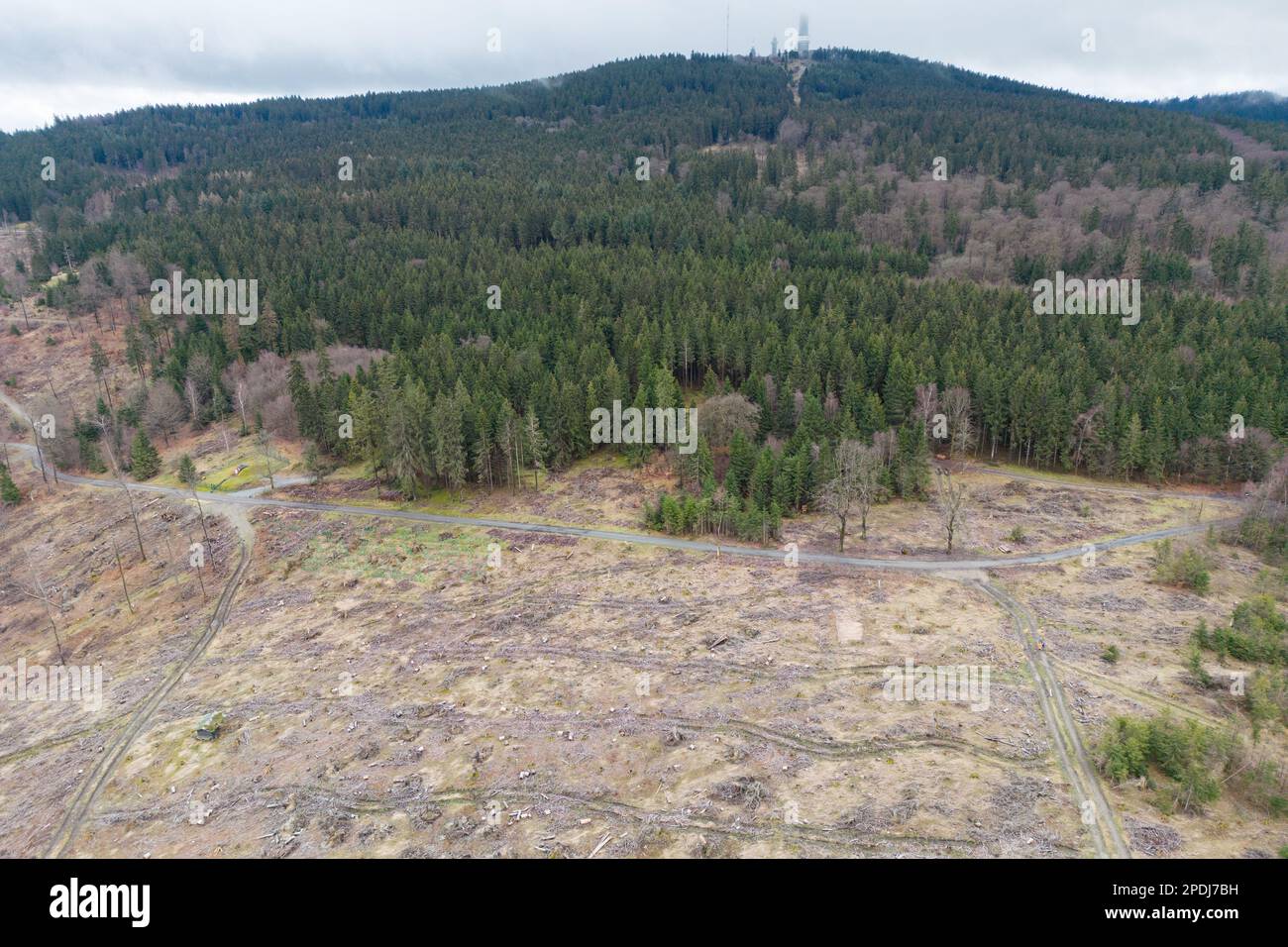 Reforestation drone hi-res stock photography and images - Alamy