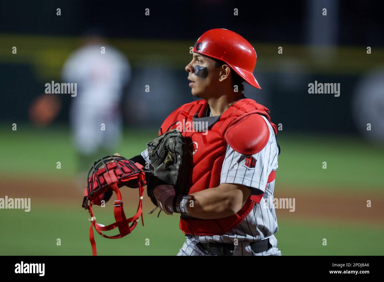 March 14, 2023: Jacob Sharp #5 UNLV catcher picks up his mask as he ...