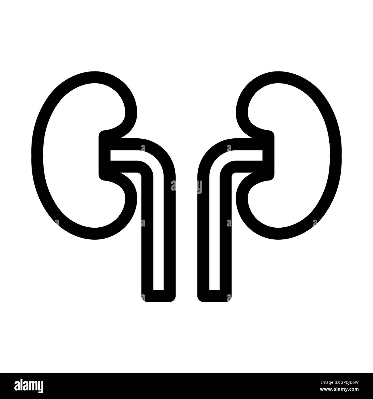 Kidney Vector Thick Line Icon For Personal And Commercial Use Stock ...