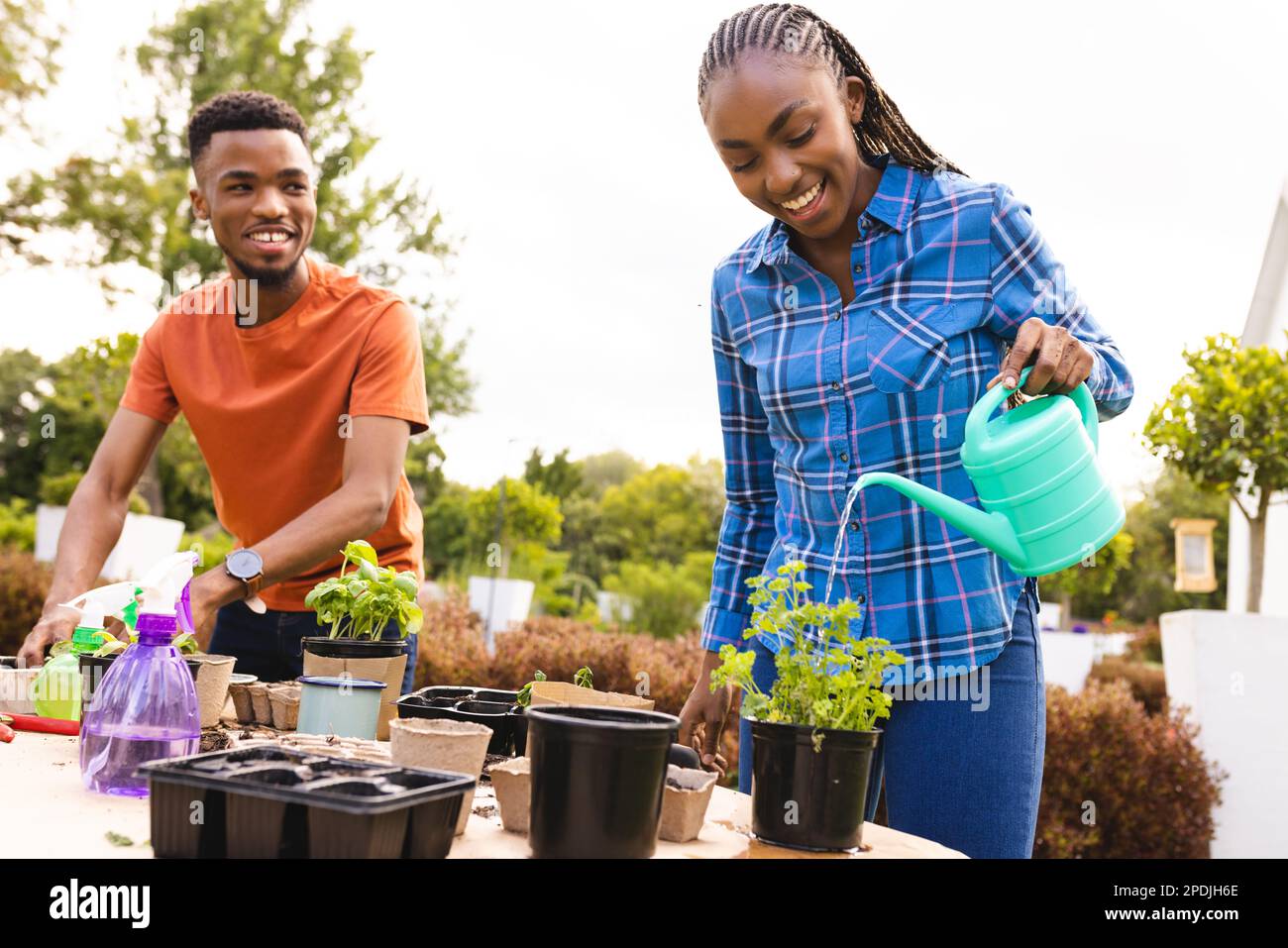 Person watering plants hi-res stock photography and images - Alamy