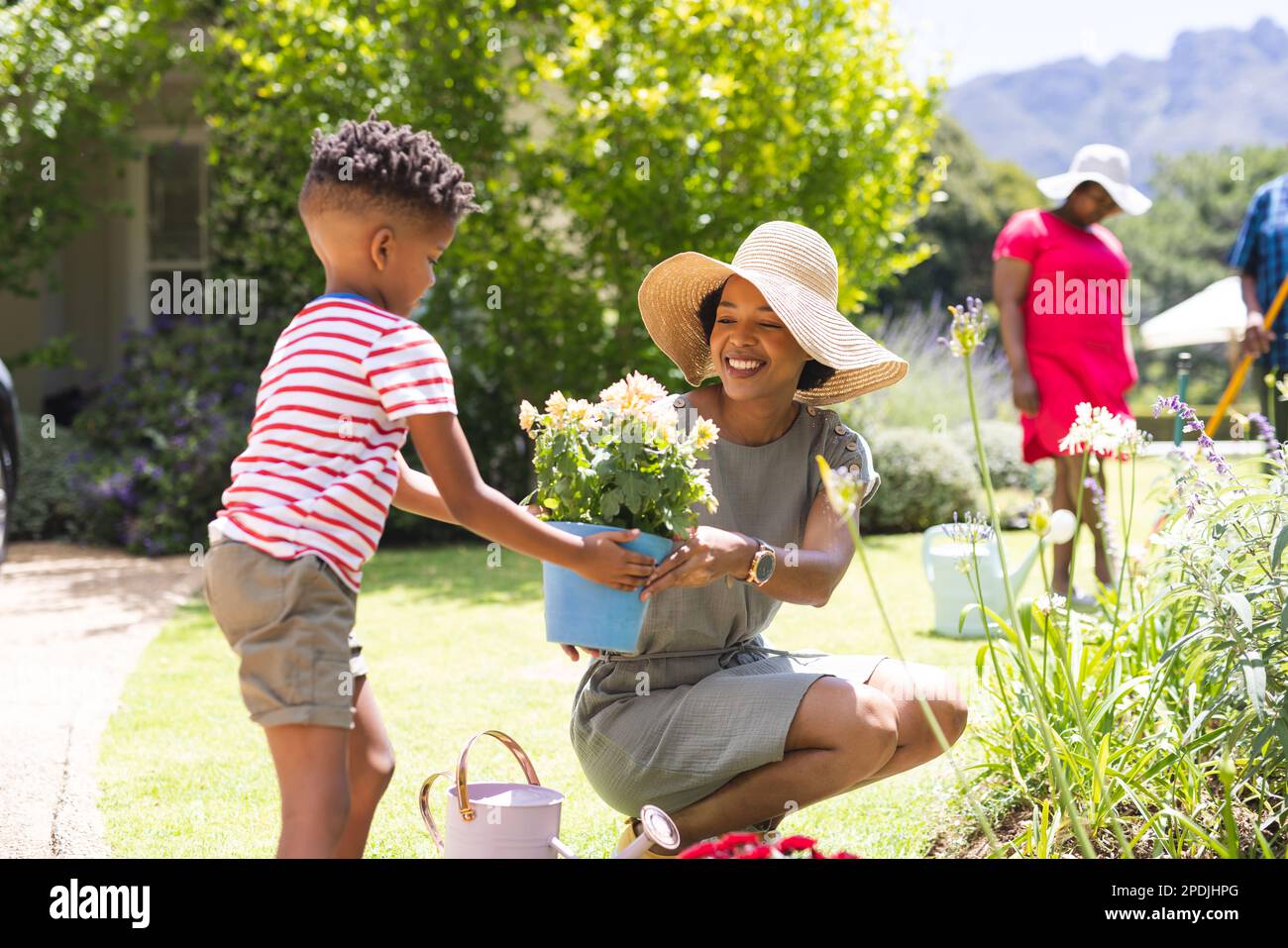 Happy african american family planting flowers in garden Stock Photo ...