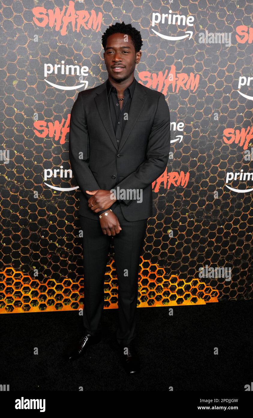 Damson Idris, a cast member in "Swarm," poses at the premiere of the ...