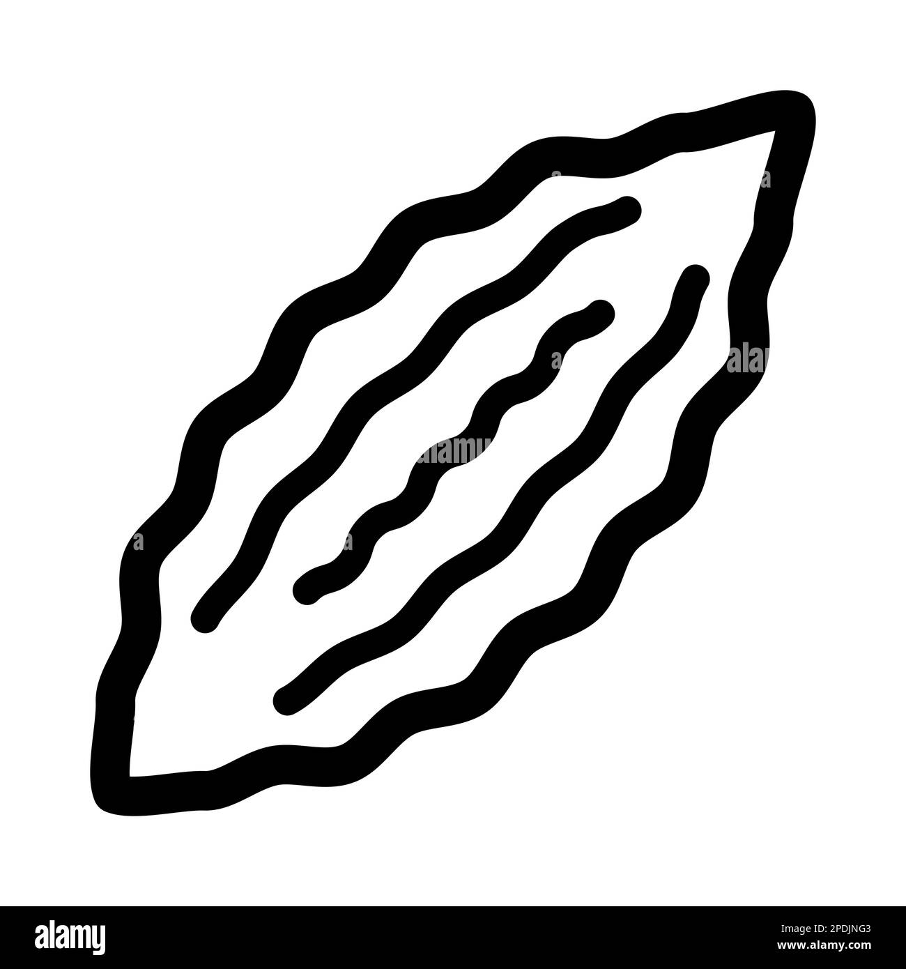 Bitter Gourd Vector Thick Line Icon For Personal And Commercial Use ...