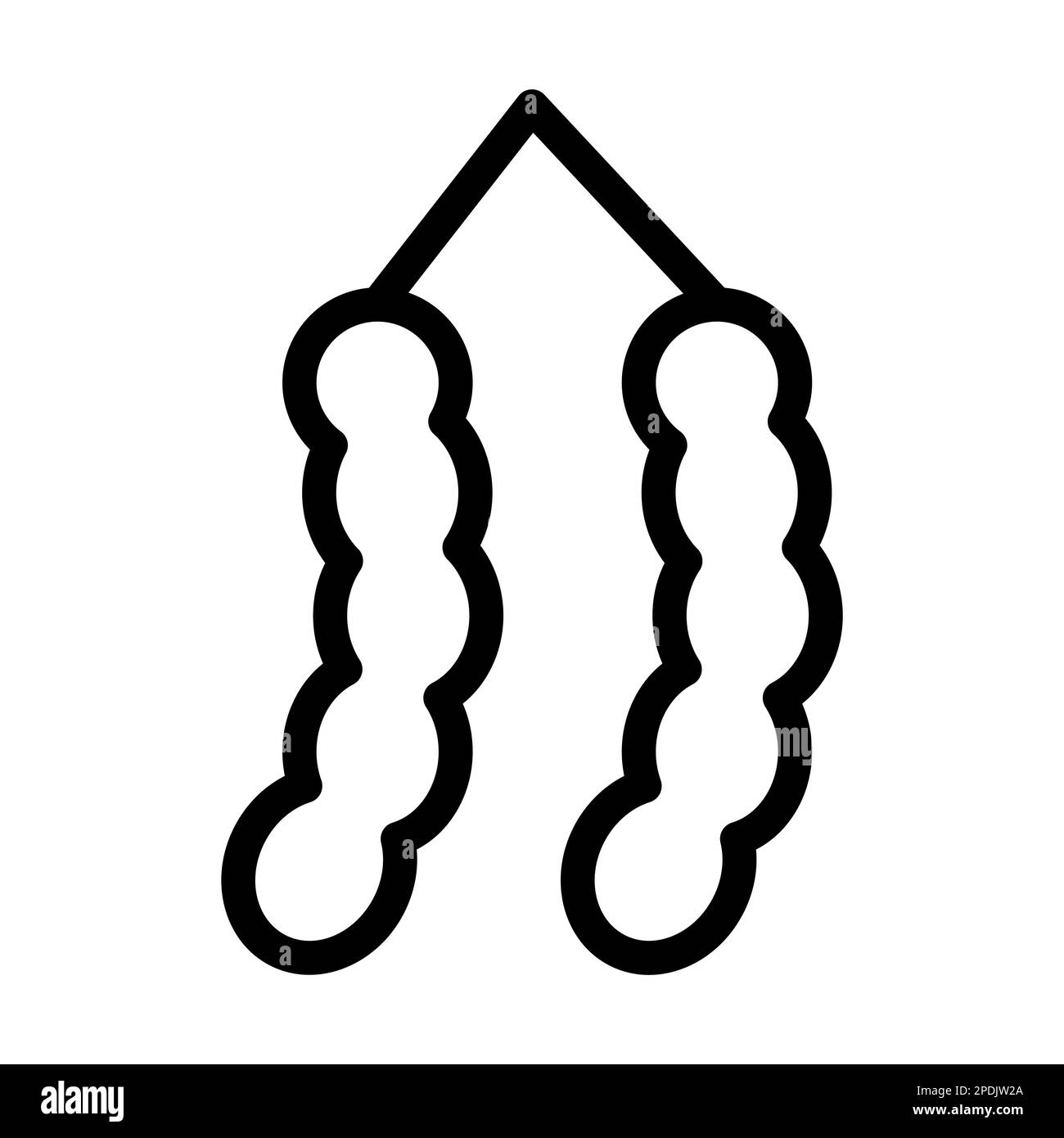 Tamarind Vector Thick Line Icon For Personal And Commercial Use Stock ...