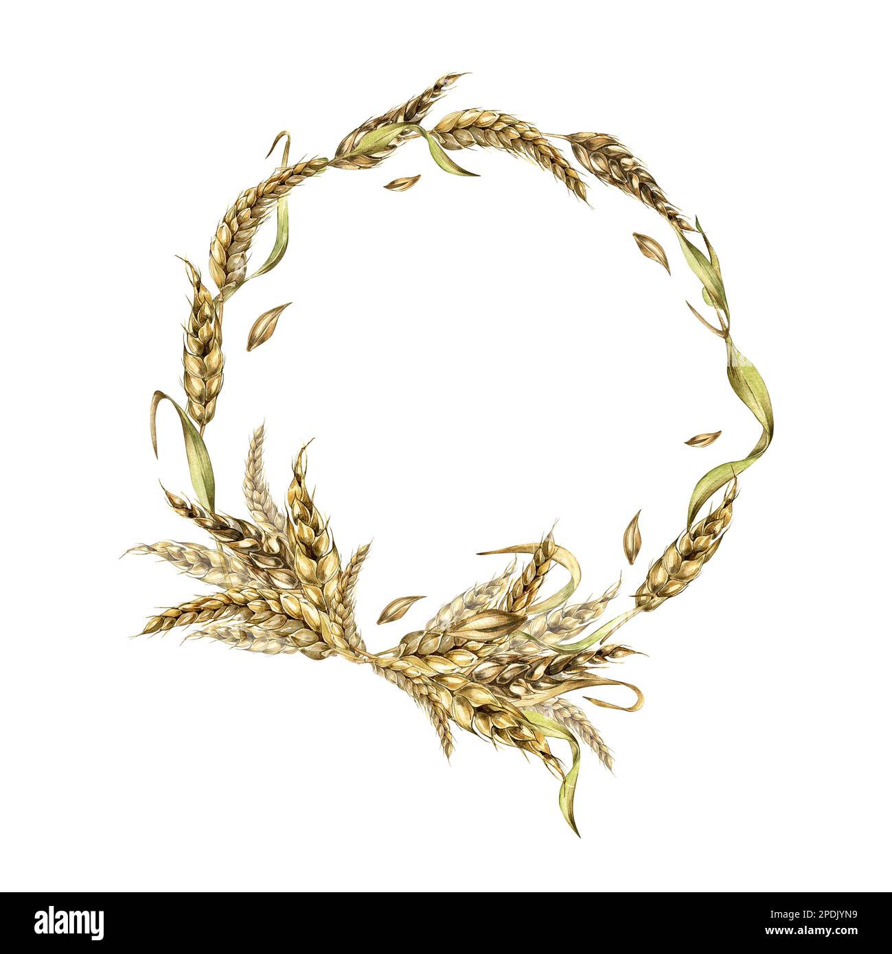 Wreath of wheat ear, barley watercolor illustration isolated on white ...