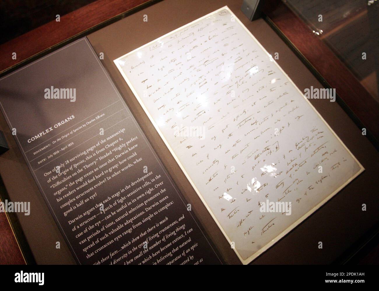 A page from Charles Darwin's original manuscript the "Origin of Species ...