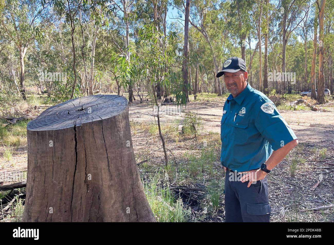 Parks Victoria's Chris Mercier stands amongst the remnants of firewood ...