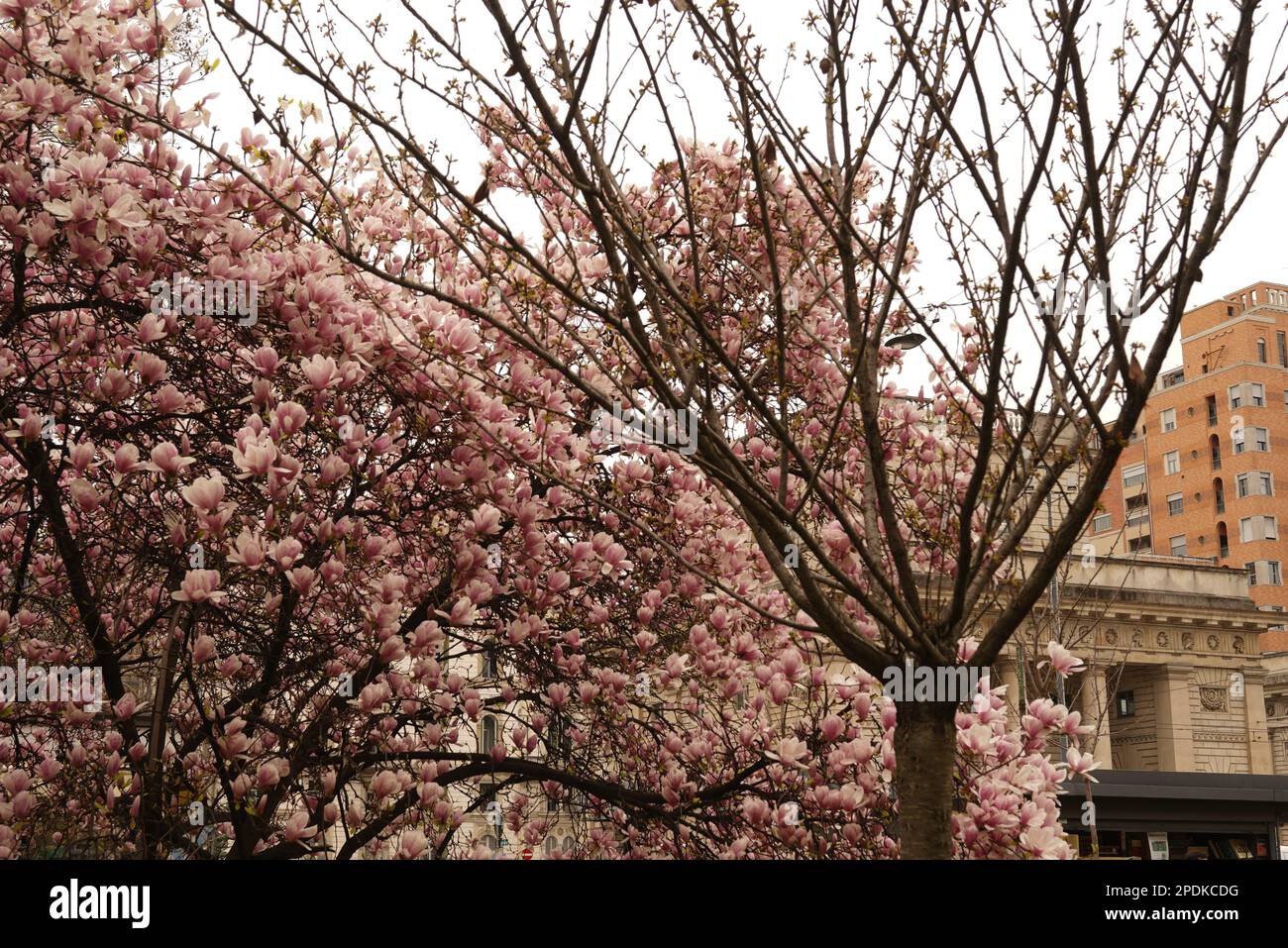 View of a detail in a street in Milan,on a cold cloudy day late winter ...