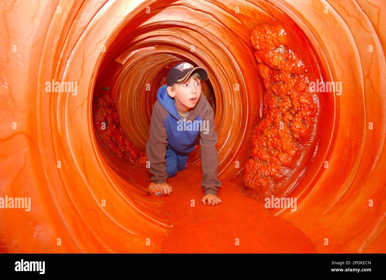 Ryan Miles, 10, reacts while crawling through the Colossal Colon at the ...