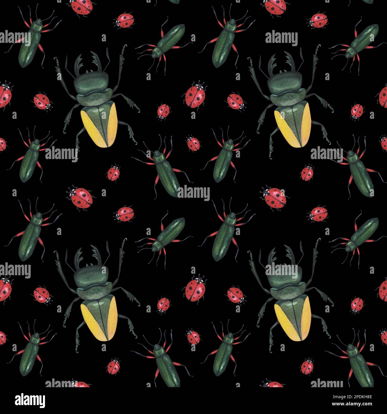 SSeamless pattern Realistic beetles insect isolated on black background ...