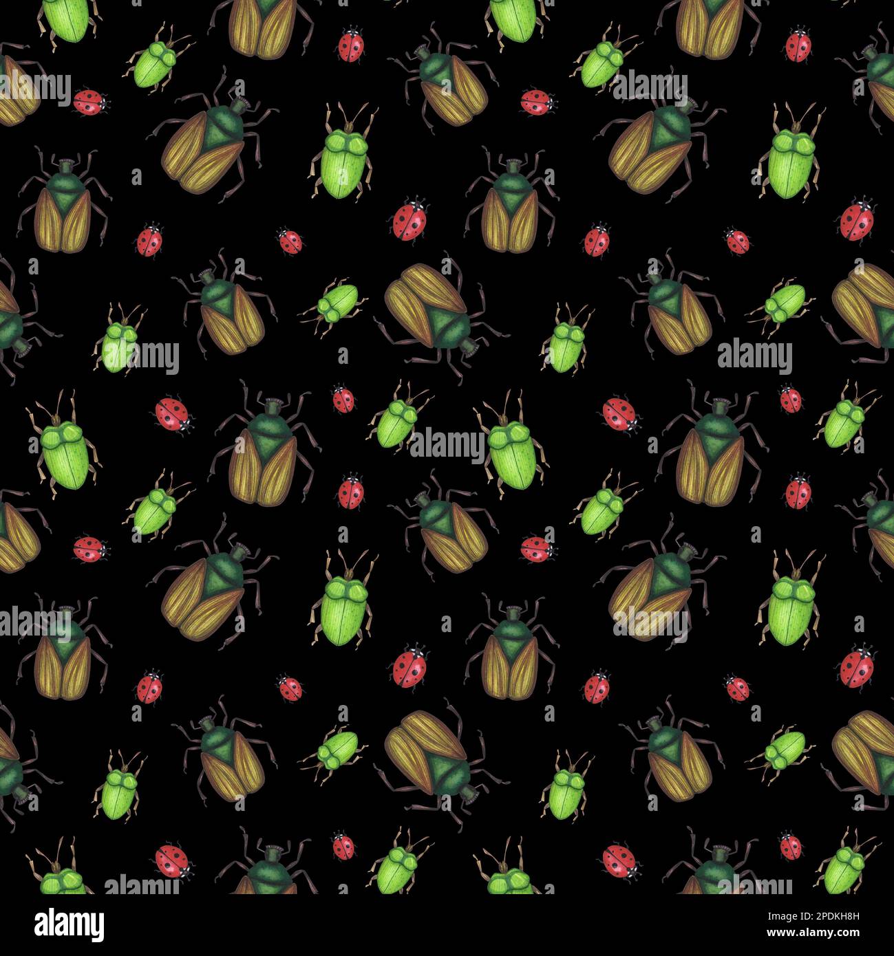 Seamless pattern Realistic beetles insect isolated on white background ...