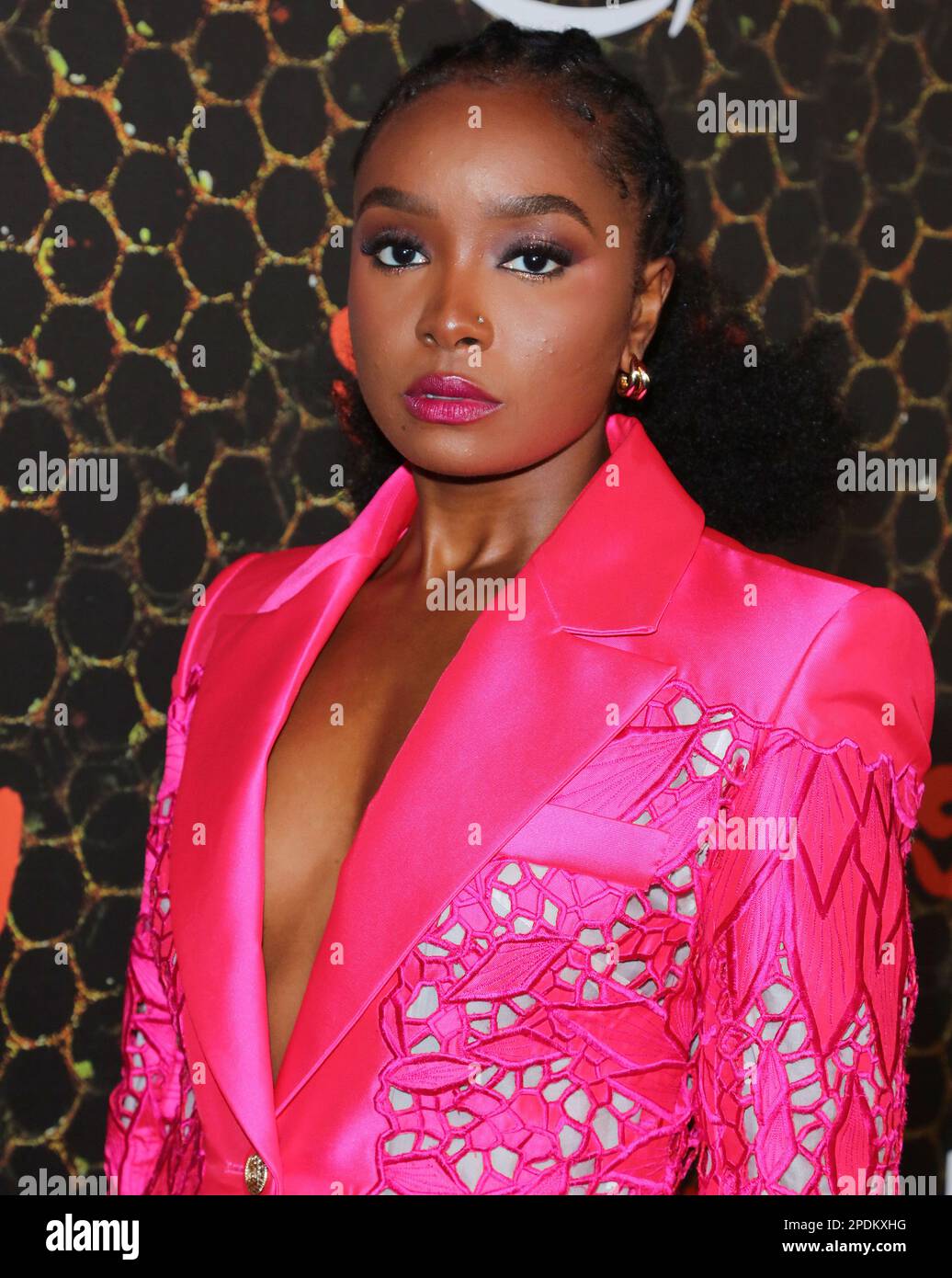 Los Angeles, USA. 14th Mar, 2023. Kiki Layne arrives at SWARM Los Angeles Premiere held at the ...
