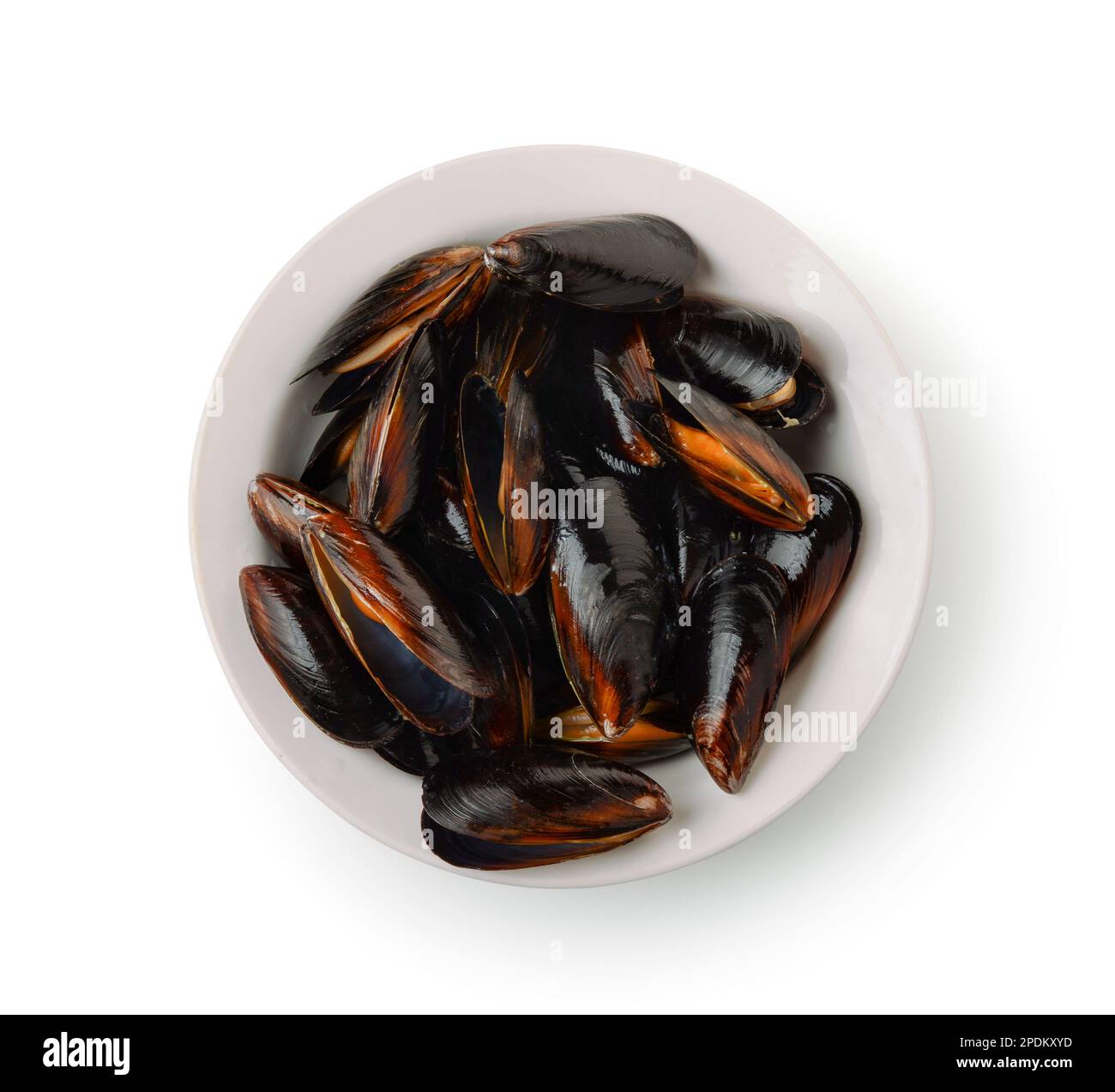 Boiled mussel hi-res stock photography and images - Alamy