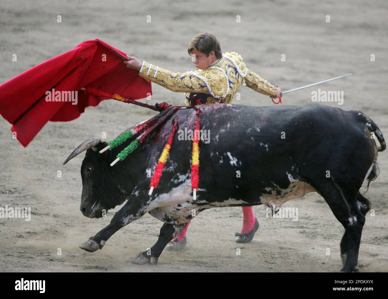 A bull passes by Spanish bullfighter "El Juli" during 'Senor de los ...