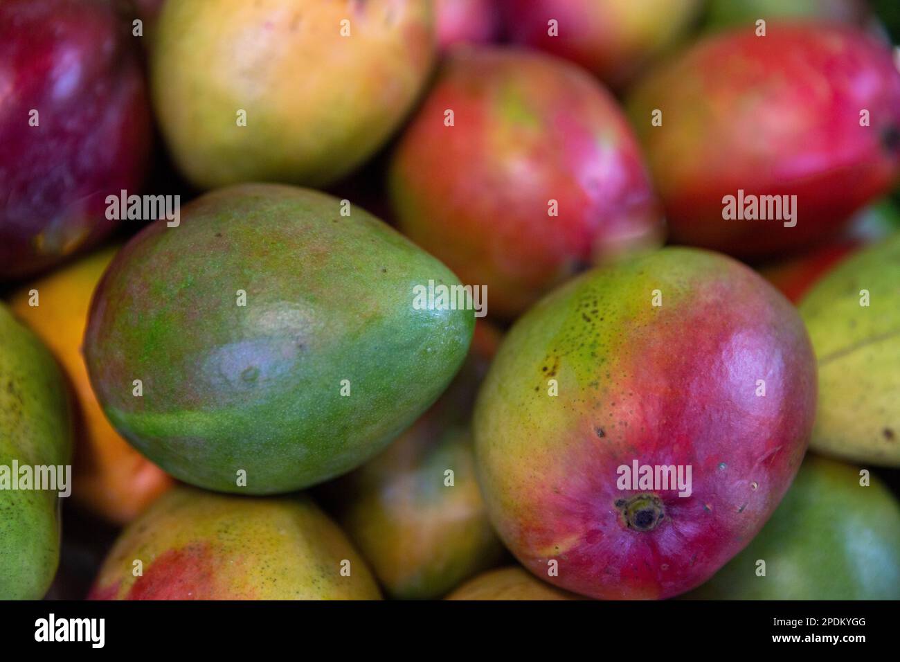 Bunch of Almost Ripe Mangos at a market stall Stock Photo - Alamy