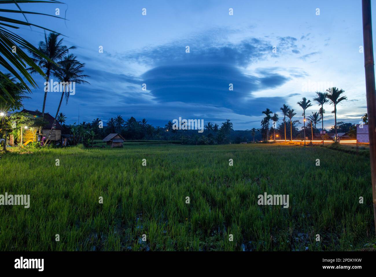 Indonesian Rice Patty in the morning with interesting clouds Stock ...