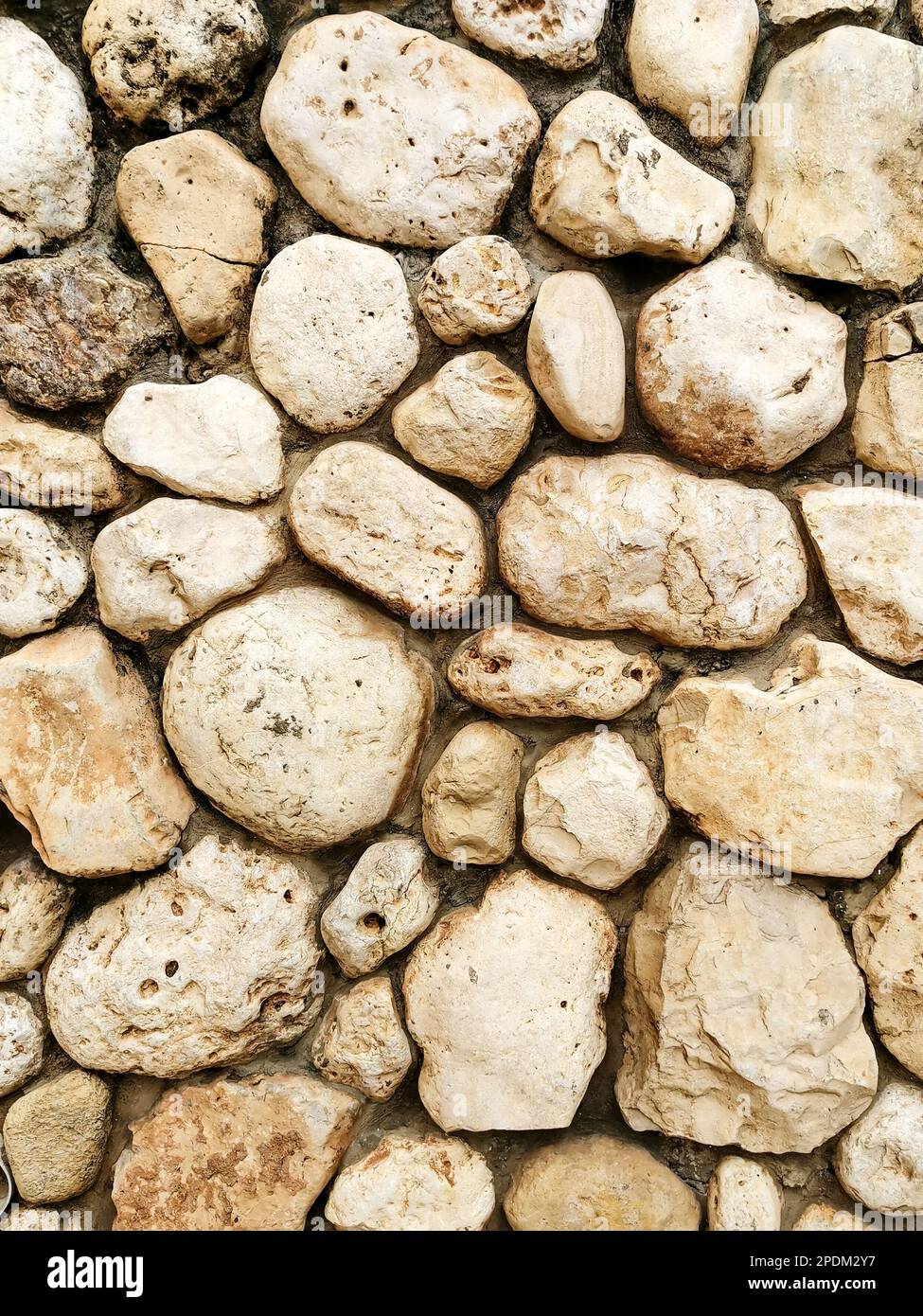 Limestone Wall Texture