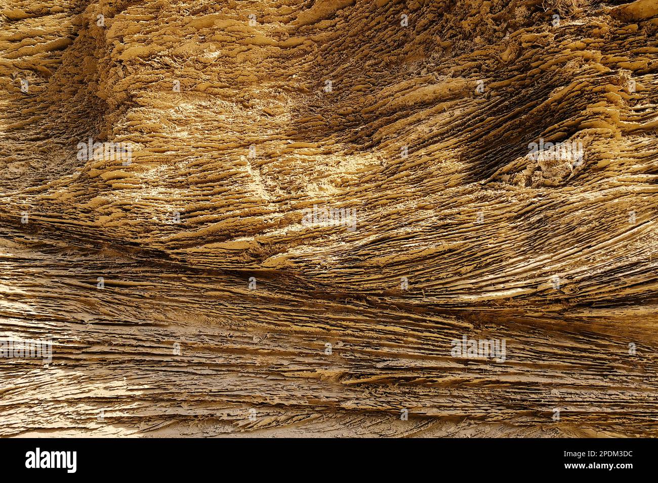 Texture of relief rock. Beautiful natural formation on shores of the ...