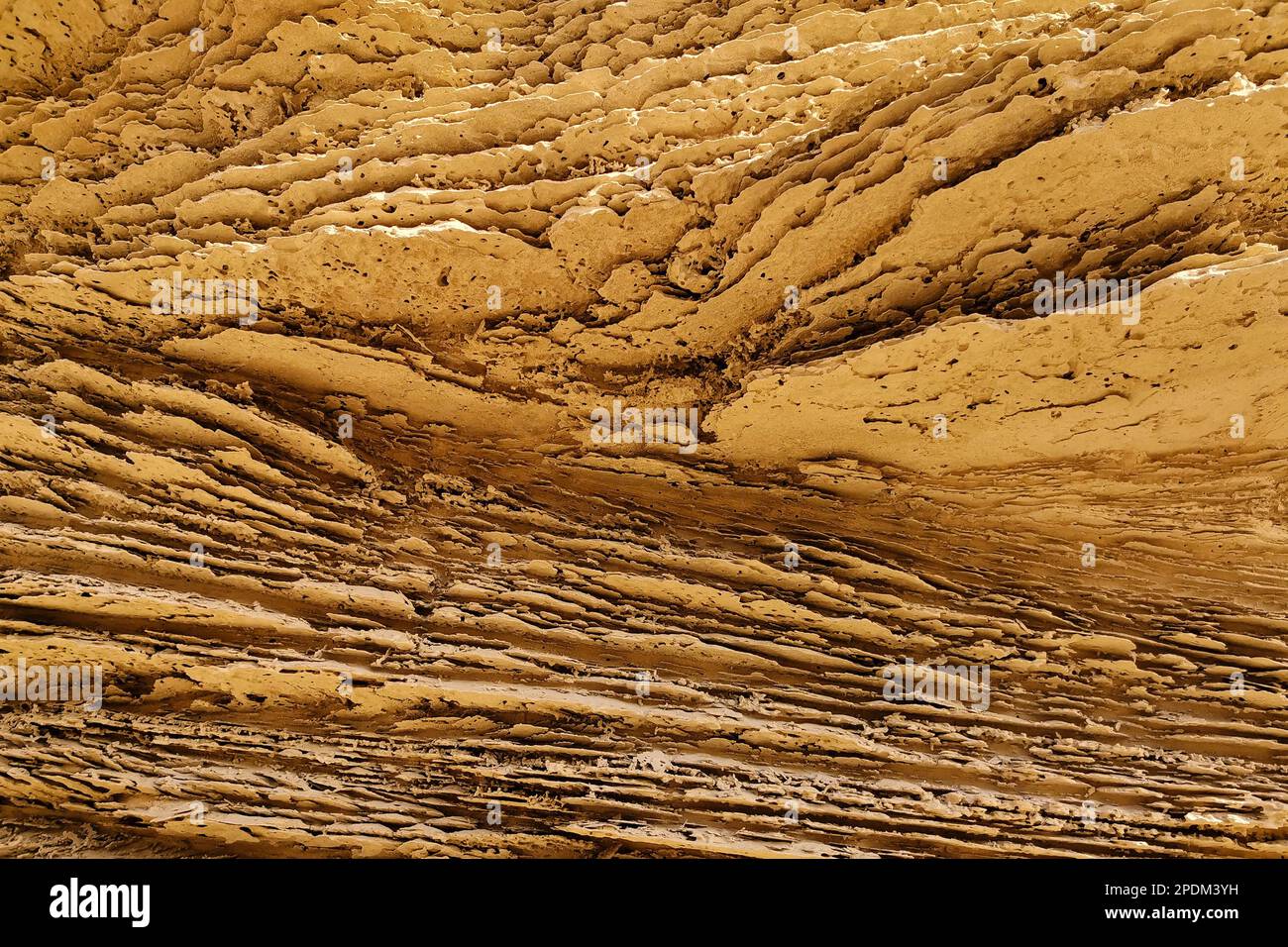 Texture of relief rock. Beautiful natural formation on shores of the ...